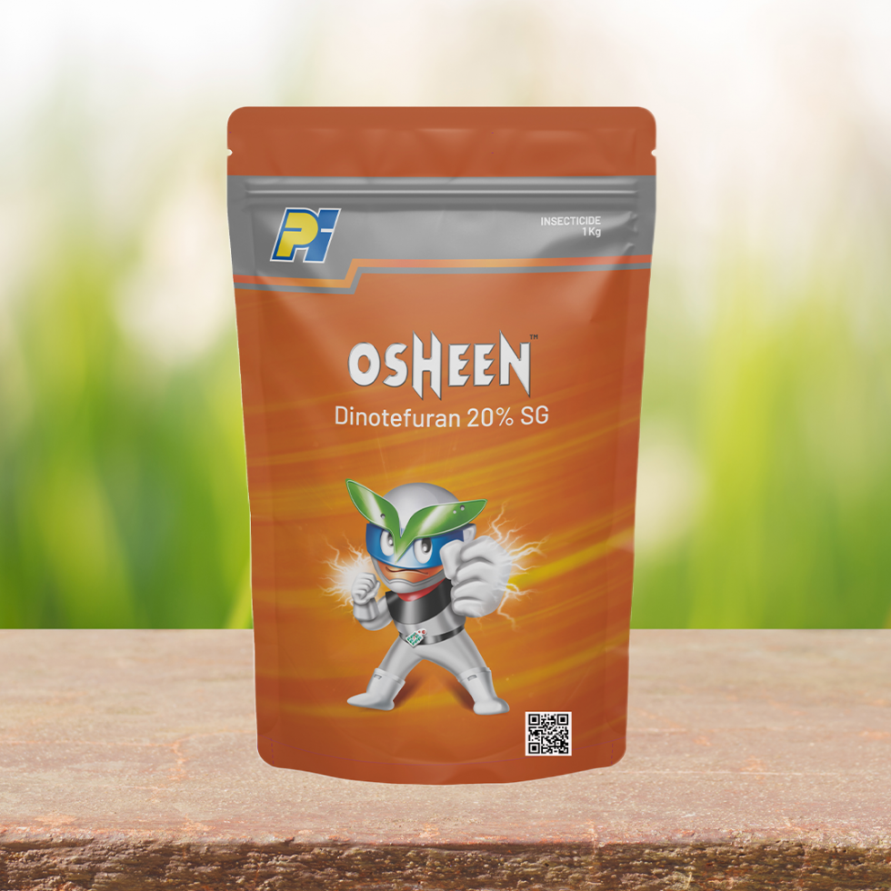 Osheen Insecticide (Dinotefuran 20 SG) for Brown Plant Hopper in Rice