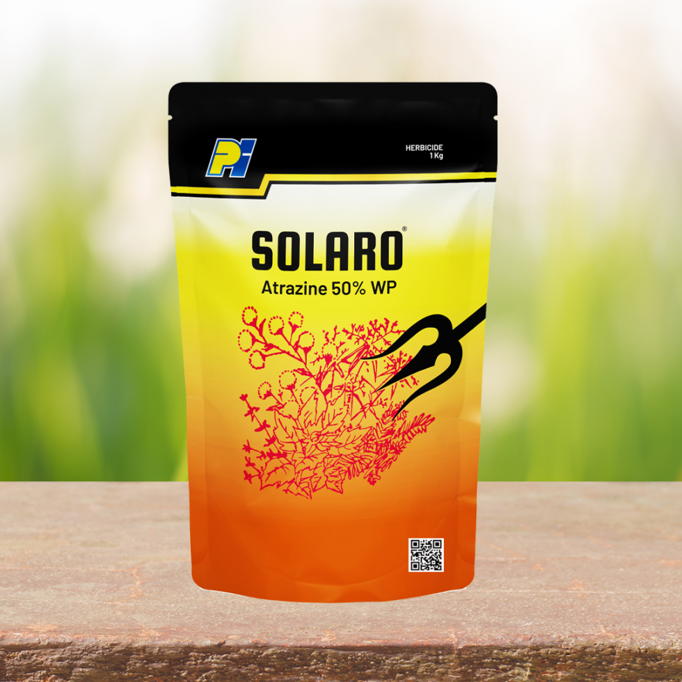 SOLARO | Atrazine 50% WP Herbicide for Broad-Spectrum Weed Control