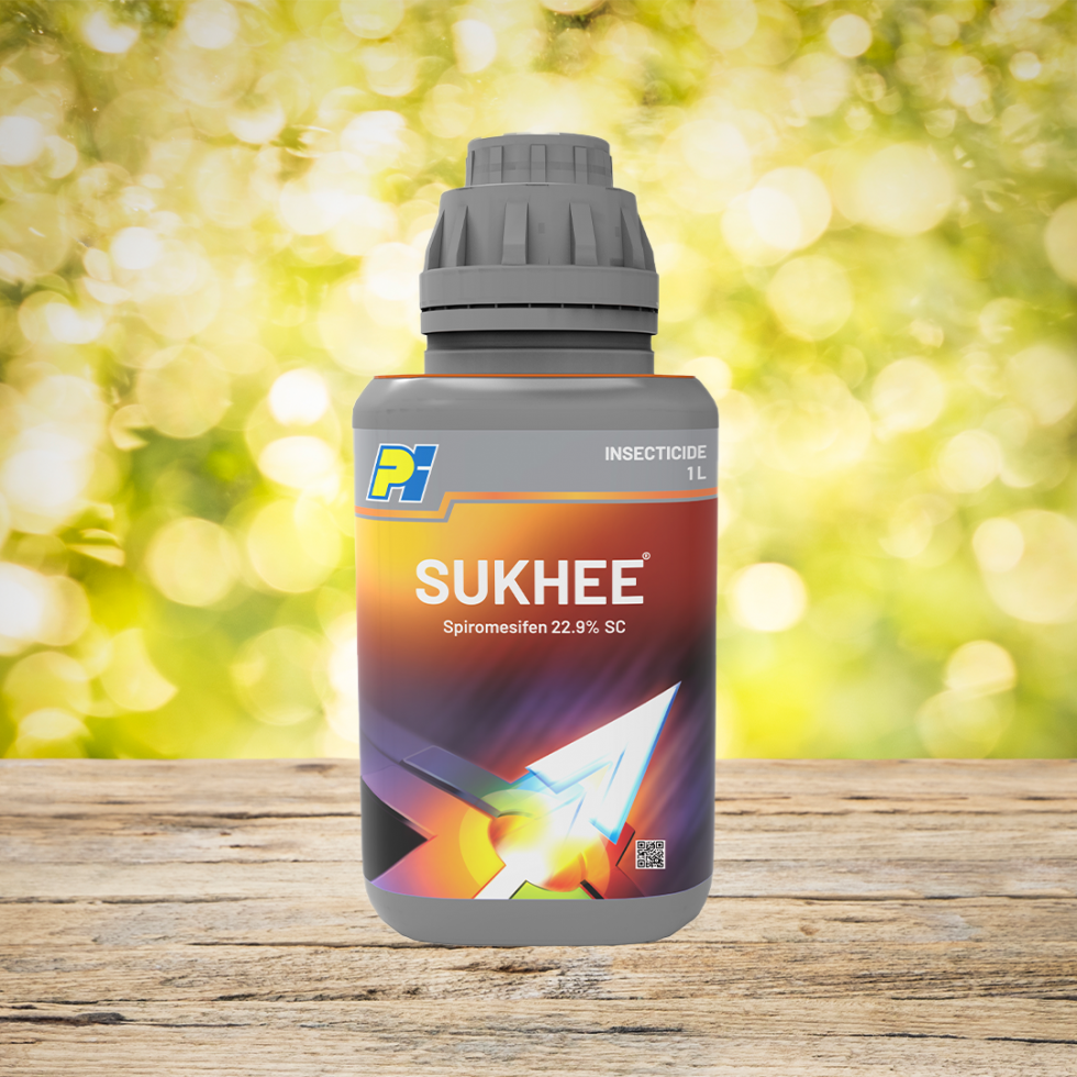Sukhee Spiromesifen 22.9 SC | Advanced Spiromesifen Insecticide
