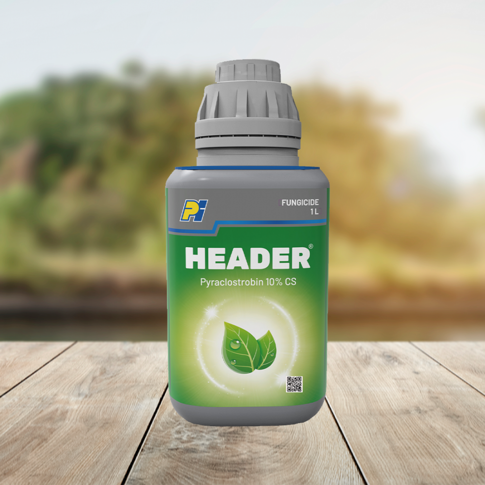 HEADER - PI Industries