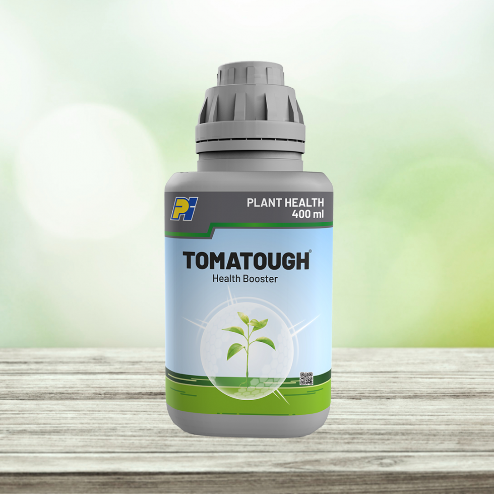 Tomatough | Sea Weed Extract for Virus Management