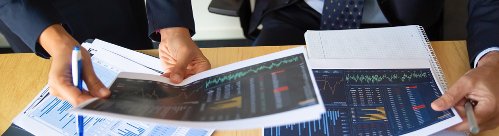 Investor - PI Industries